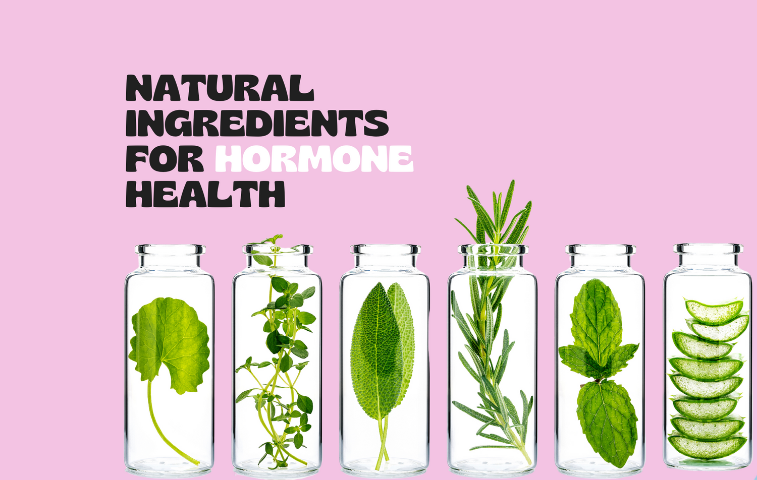 Hormonal Health – HapiPatch